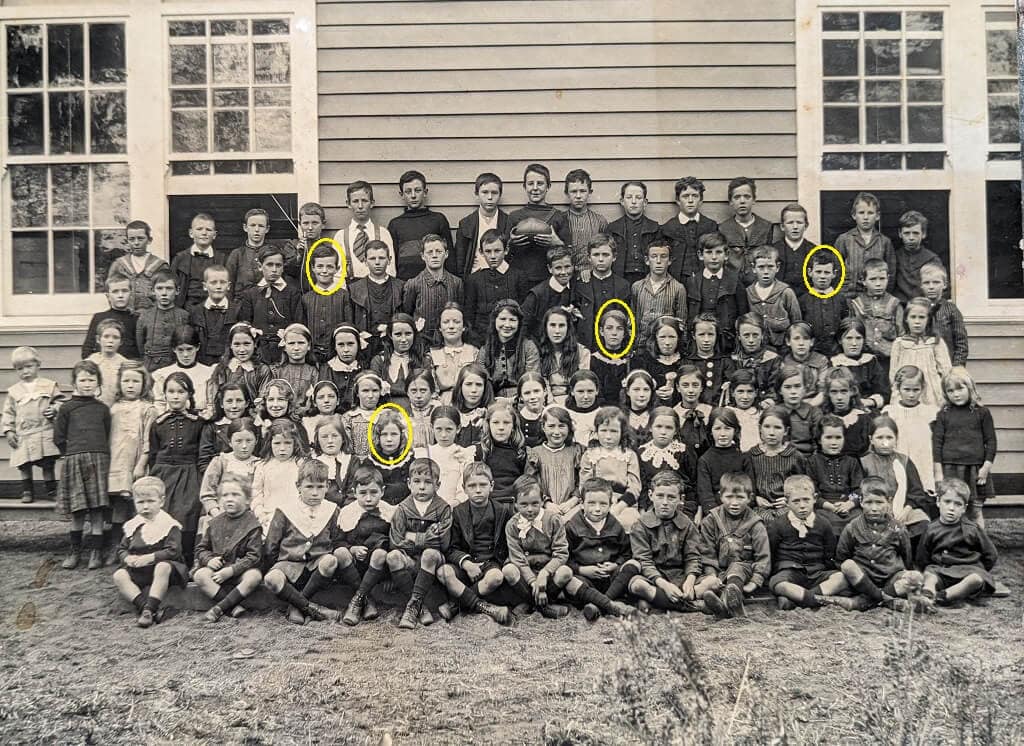 Phyllis WINTER. Forever young. - Cicadas, Bees and Barge Poles