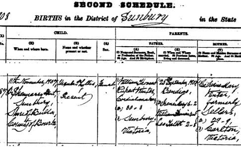 Phyllis WINTER. Forever young. - Cicadas, Bees and Barge Poles