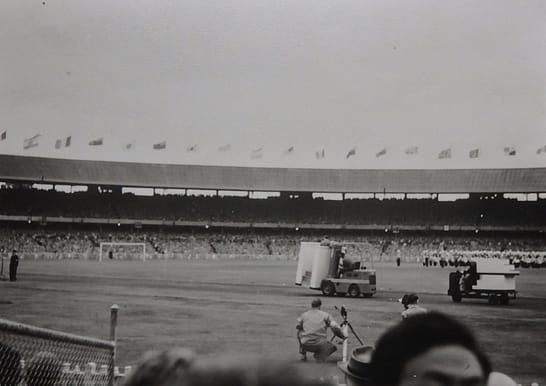 Me, Dad and the Olympic Games - Cicadas, Bees and Barge Poles
