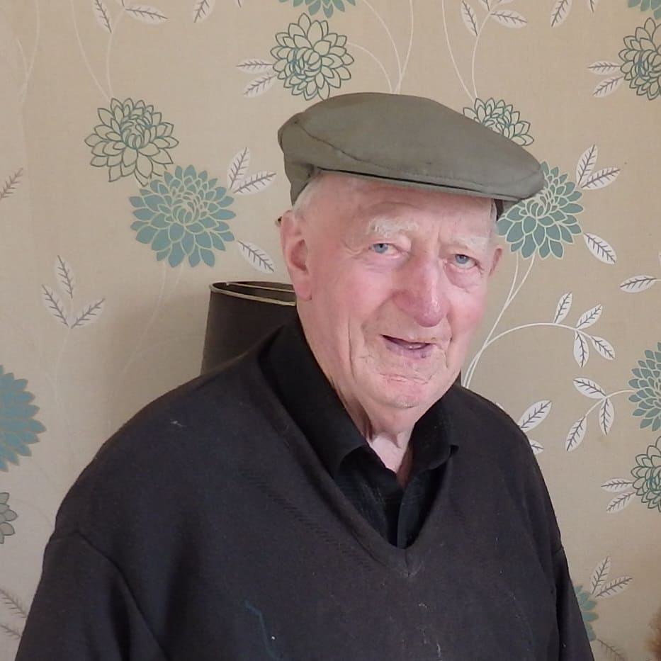 A Tribute to Teddy - Cicadas, Bees and Barge Poles